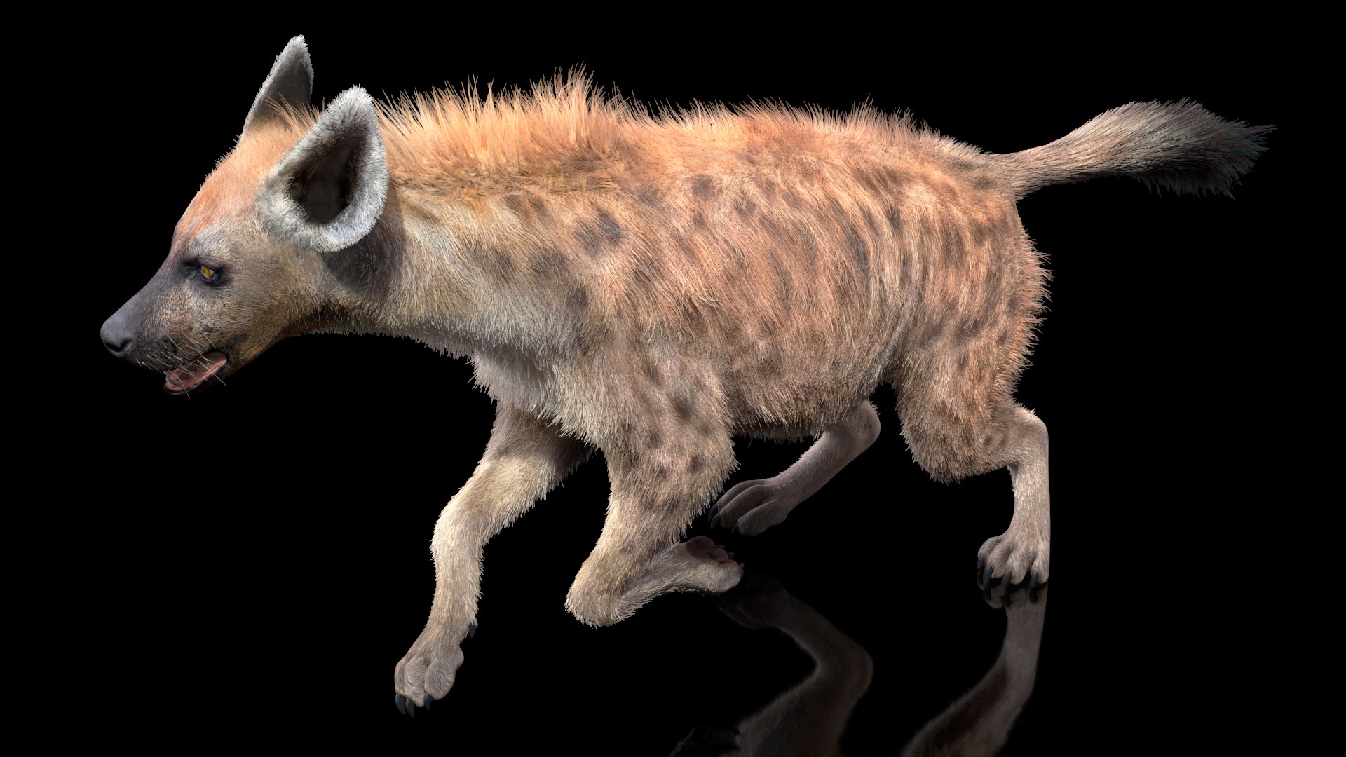 Running Pose Fur Hyena 3D Model - TurboSquid 1712866