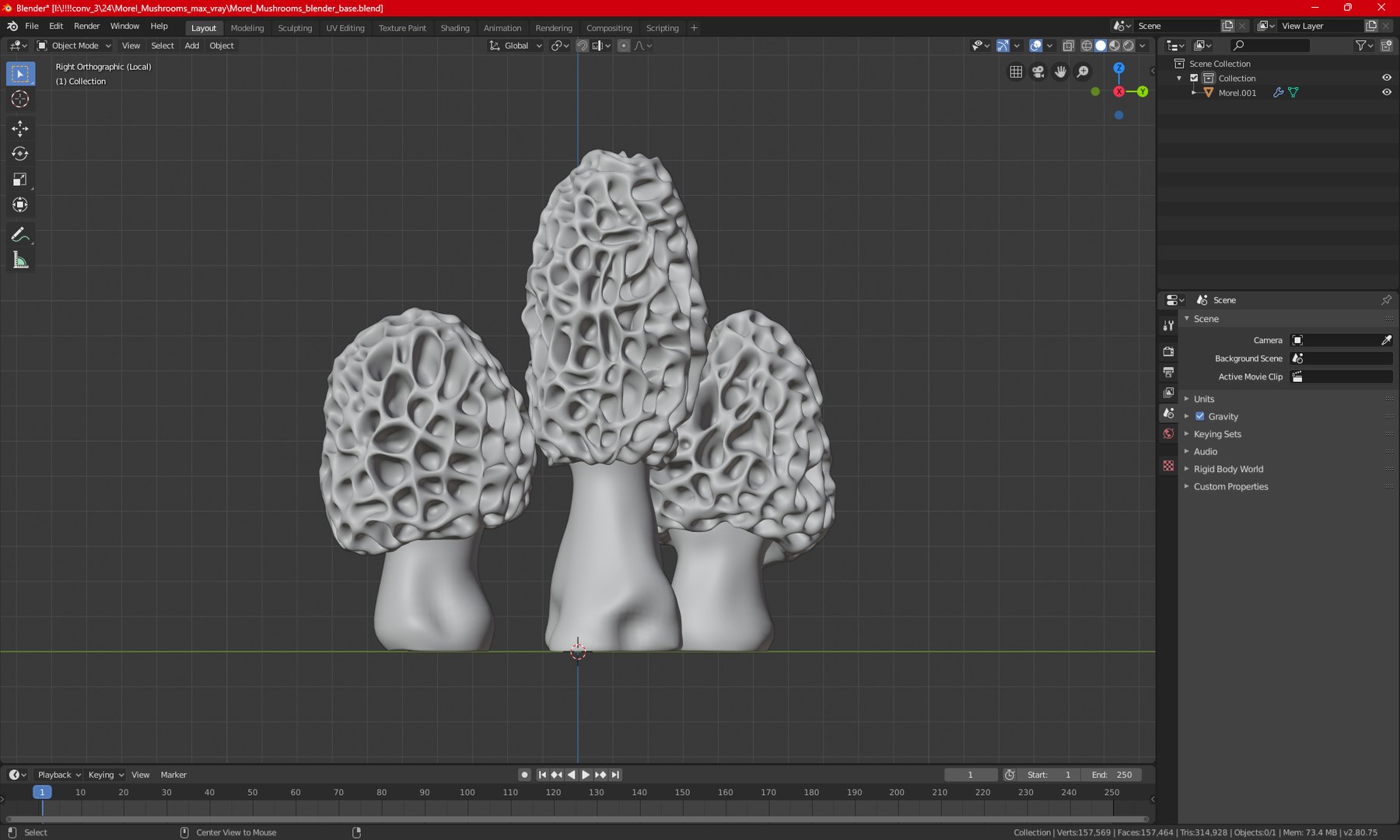 Morel Mushrooms 3D model - TurboSquid 2105576