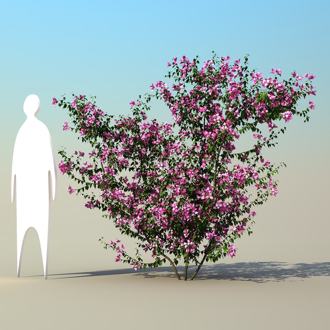 plant flower 3d obj