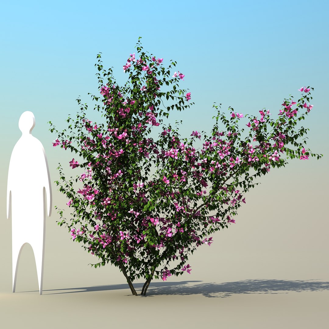 plant flower 3d obj