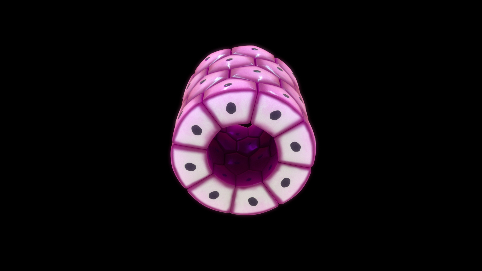3d Simple Cuboidal Epithelium Model Turbosquid 2187124