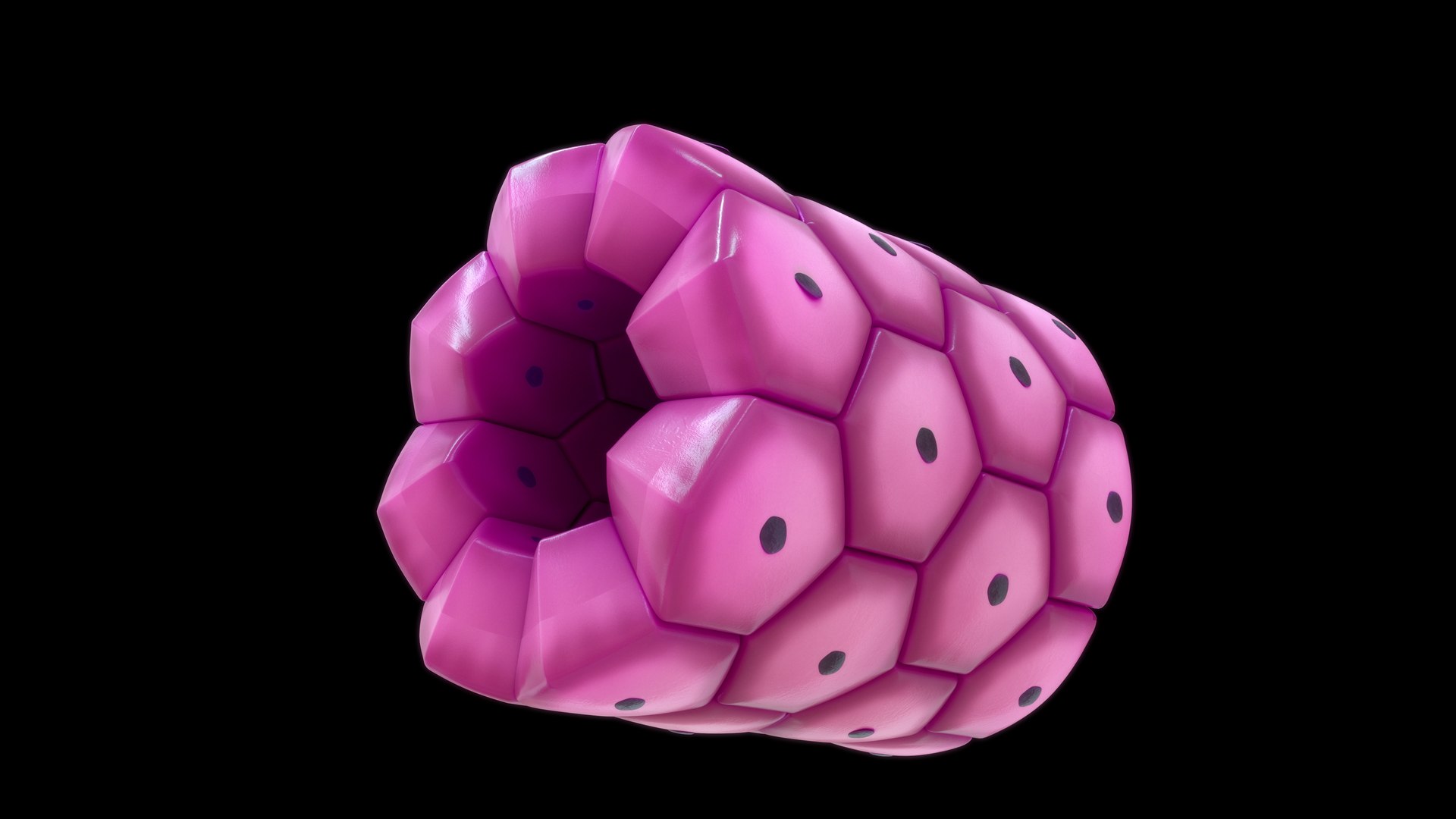 3D Simple Cuboidal Epithelium Model - TurboSquid 2187124