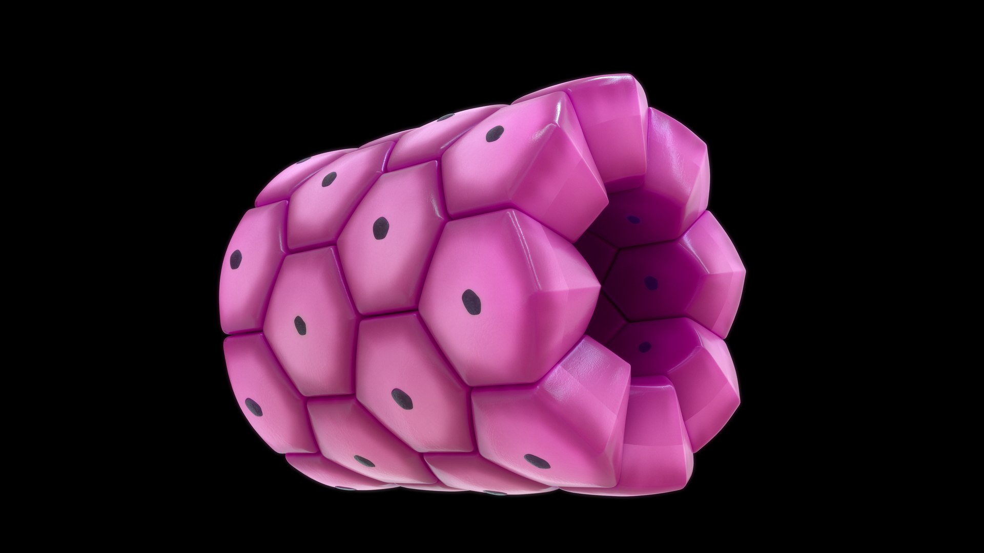 3D Simple Cuboidal Epithelium Model - TurboSquid 2187124