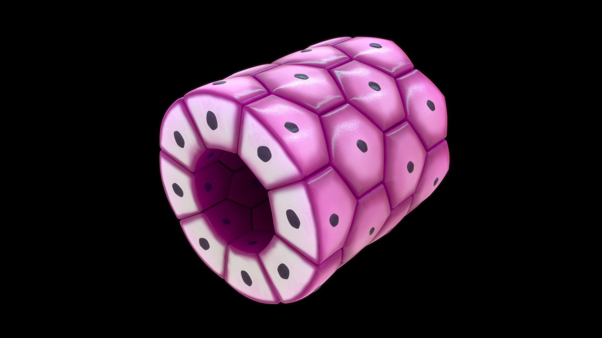 3D Simple Cuboidal Epithelium Model - TurboSquid 2187124