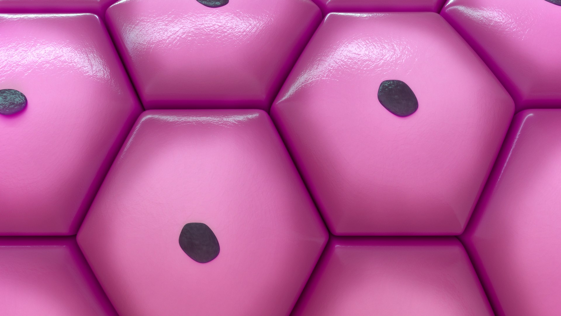 3D Simple Cuboidal Epithelium Model - TurboSquid 2187124