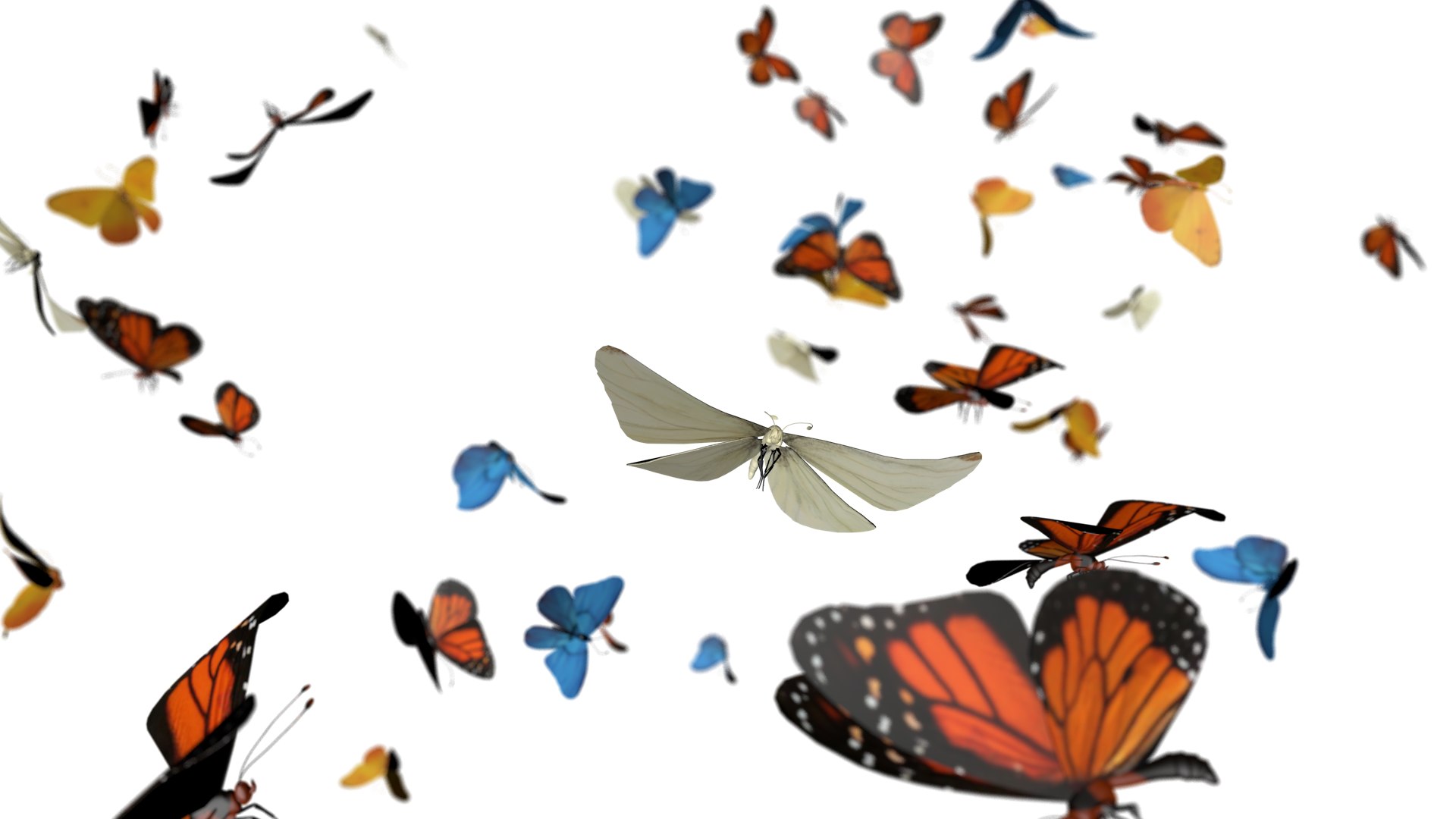 3D Colorful Butterfly Animation Model - TurboSquid 2029313