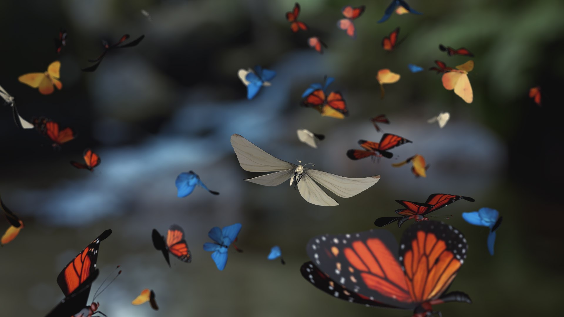 3D Colorful Butterfly Animation Model - TurboSquid 2029313