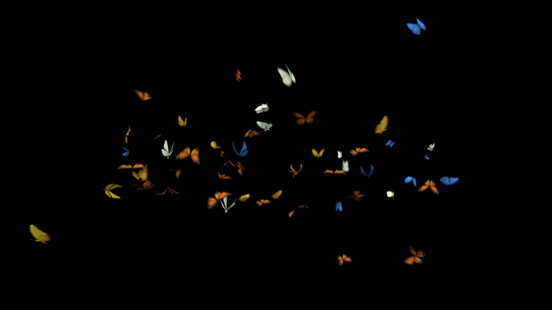 3D Colorful Butterfly Animation Model - TurboSquid 2029313