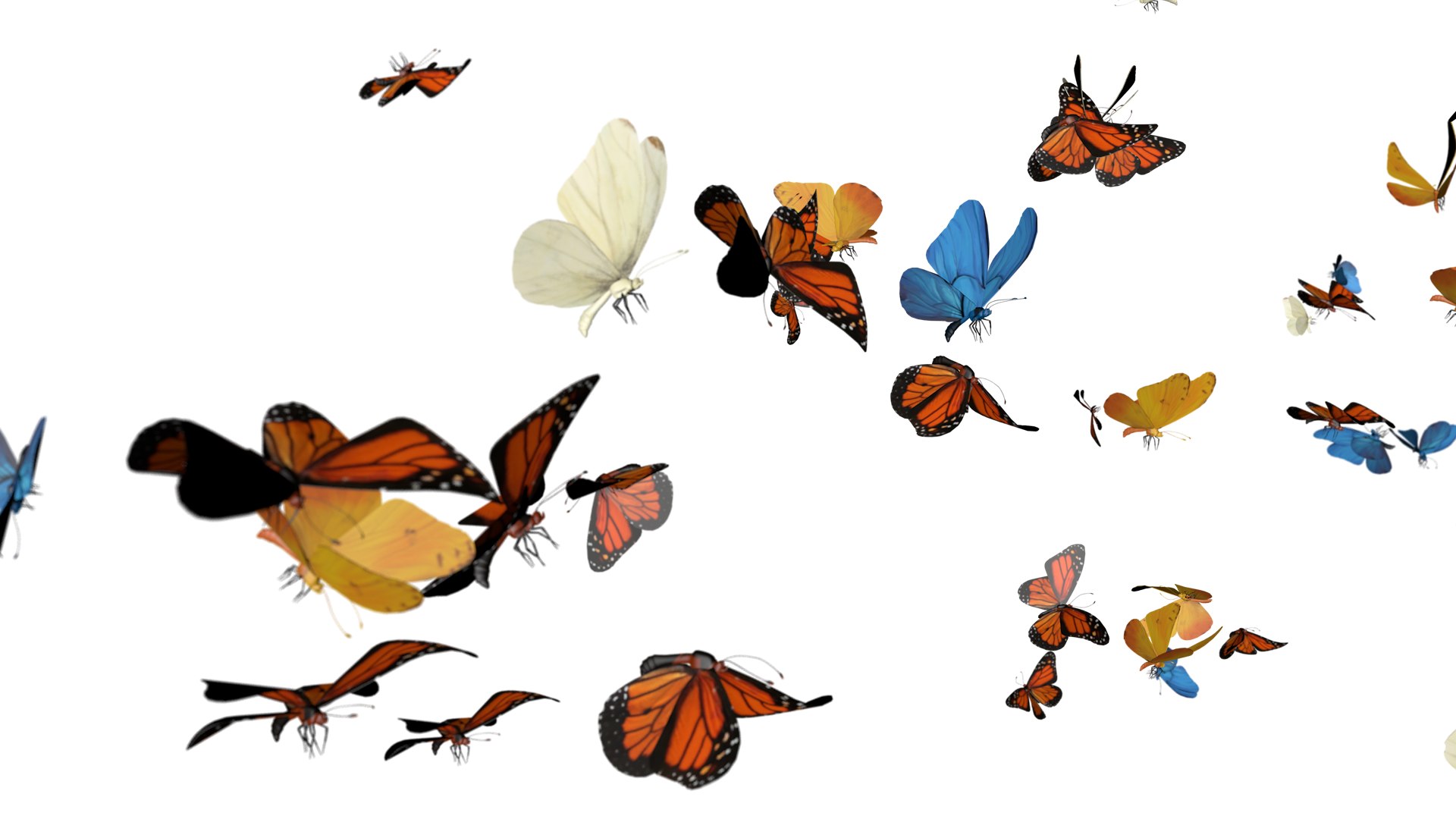 3D Colorful Butterfly Animation Model - TurboSquid 2029313