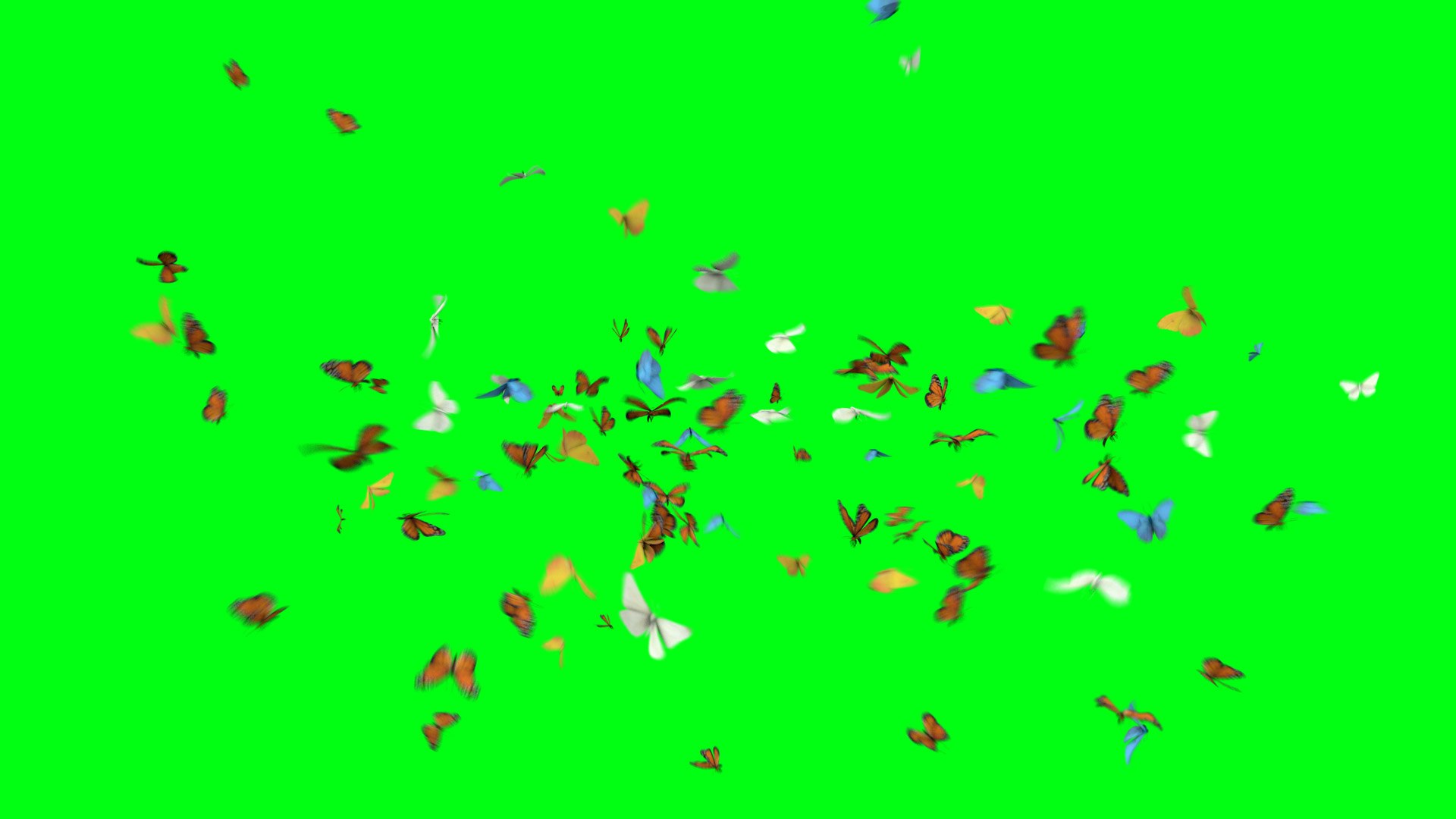 3D Colorful Butterfly Animation Model - TurboSquid 2029313