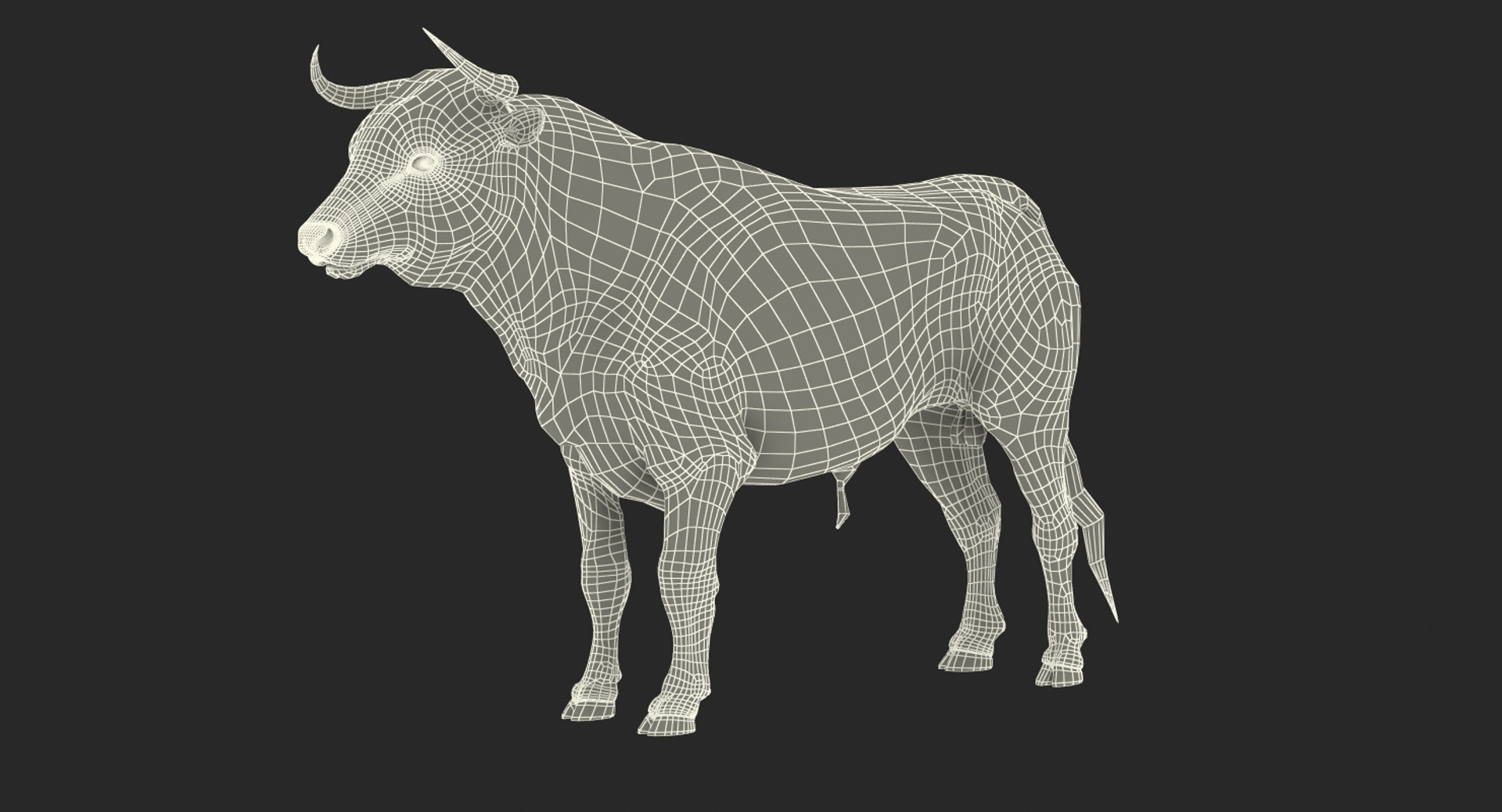 Bull Realistic 3D - TurboSquid 1215947
