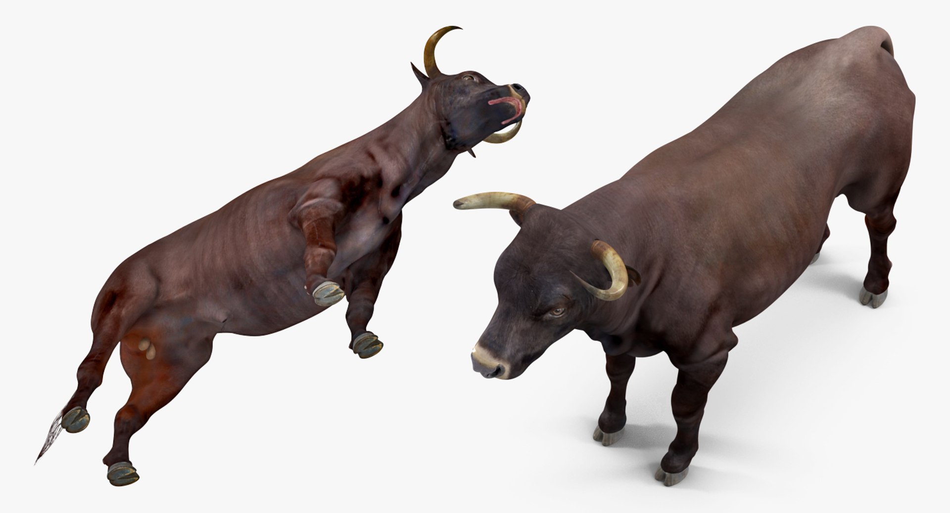 Bull Realistic 3D - TurboSquid 1215947
