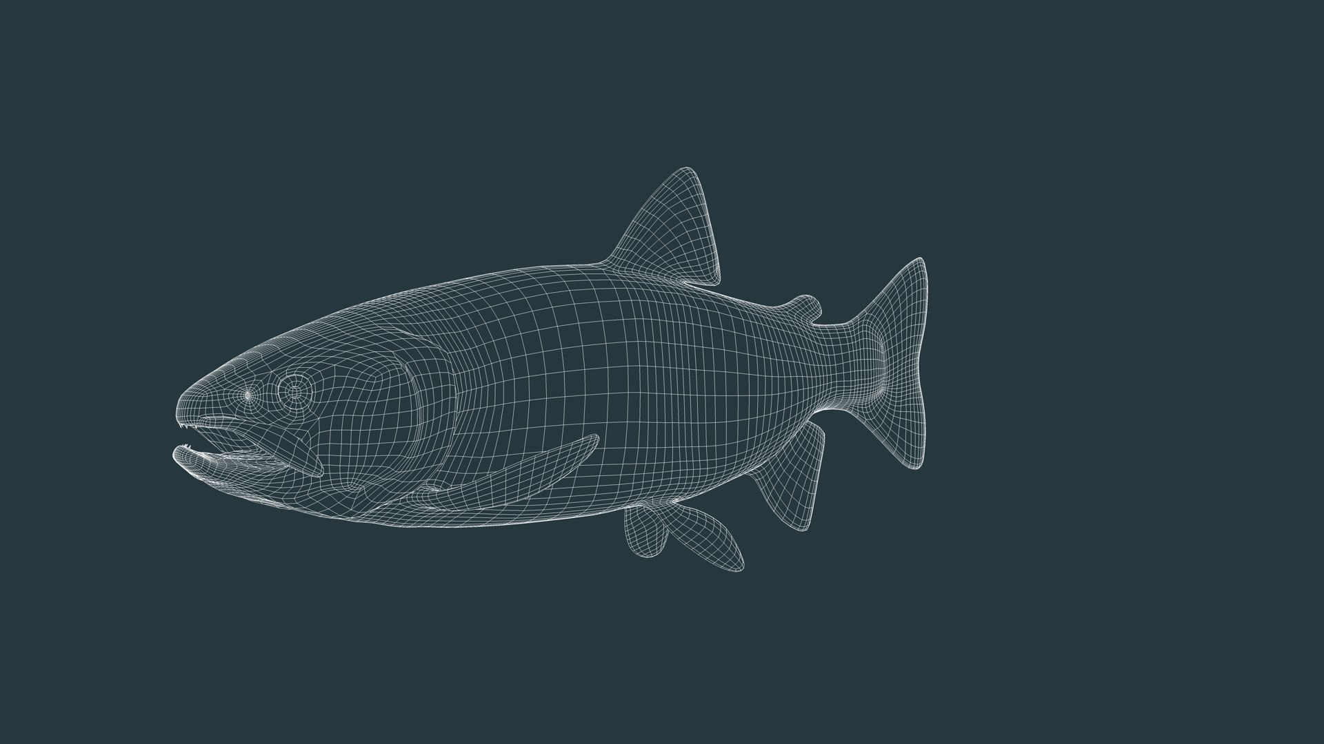 3D Model Brown Trout - TurboSquid 1444833