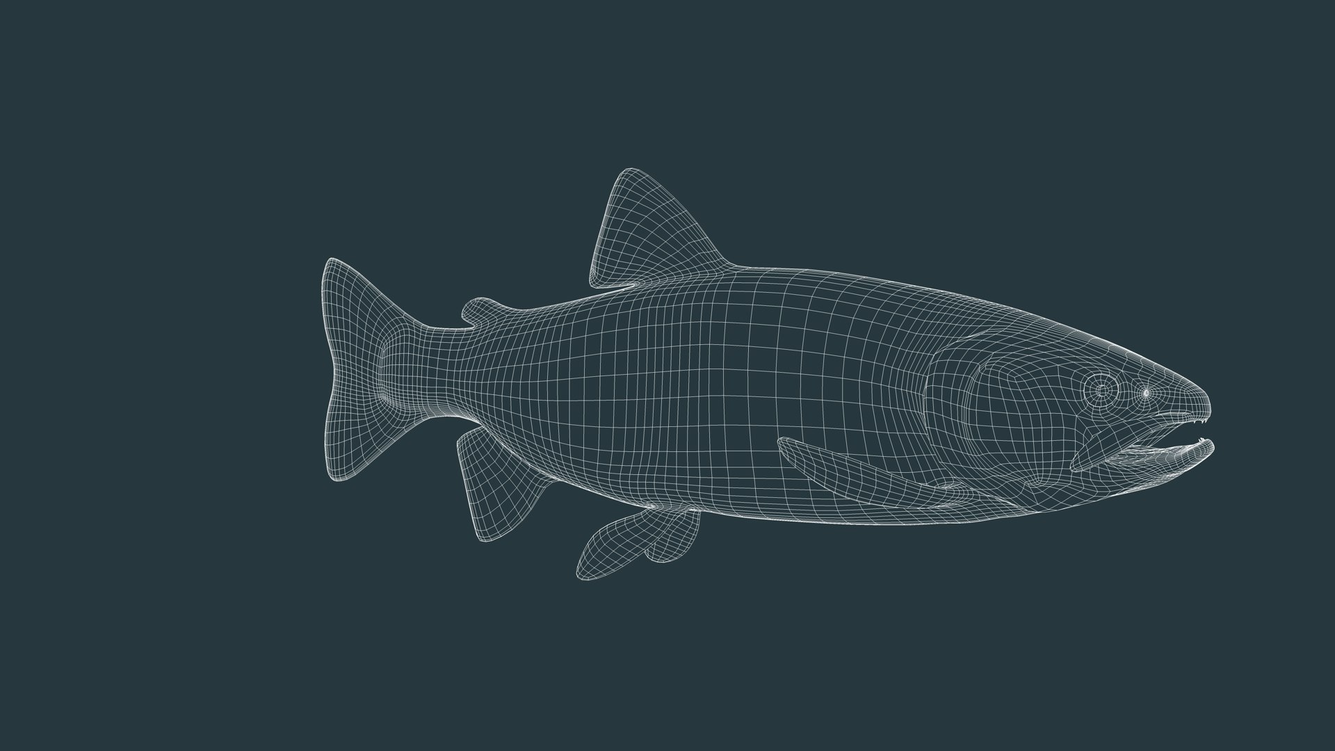3D Model Brown Trout - TurboSquid 1444833