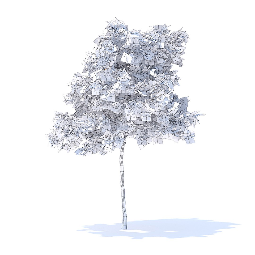 Lemon Tree 2 4m 3D Model - TurboSquid 1253244