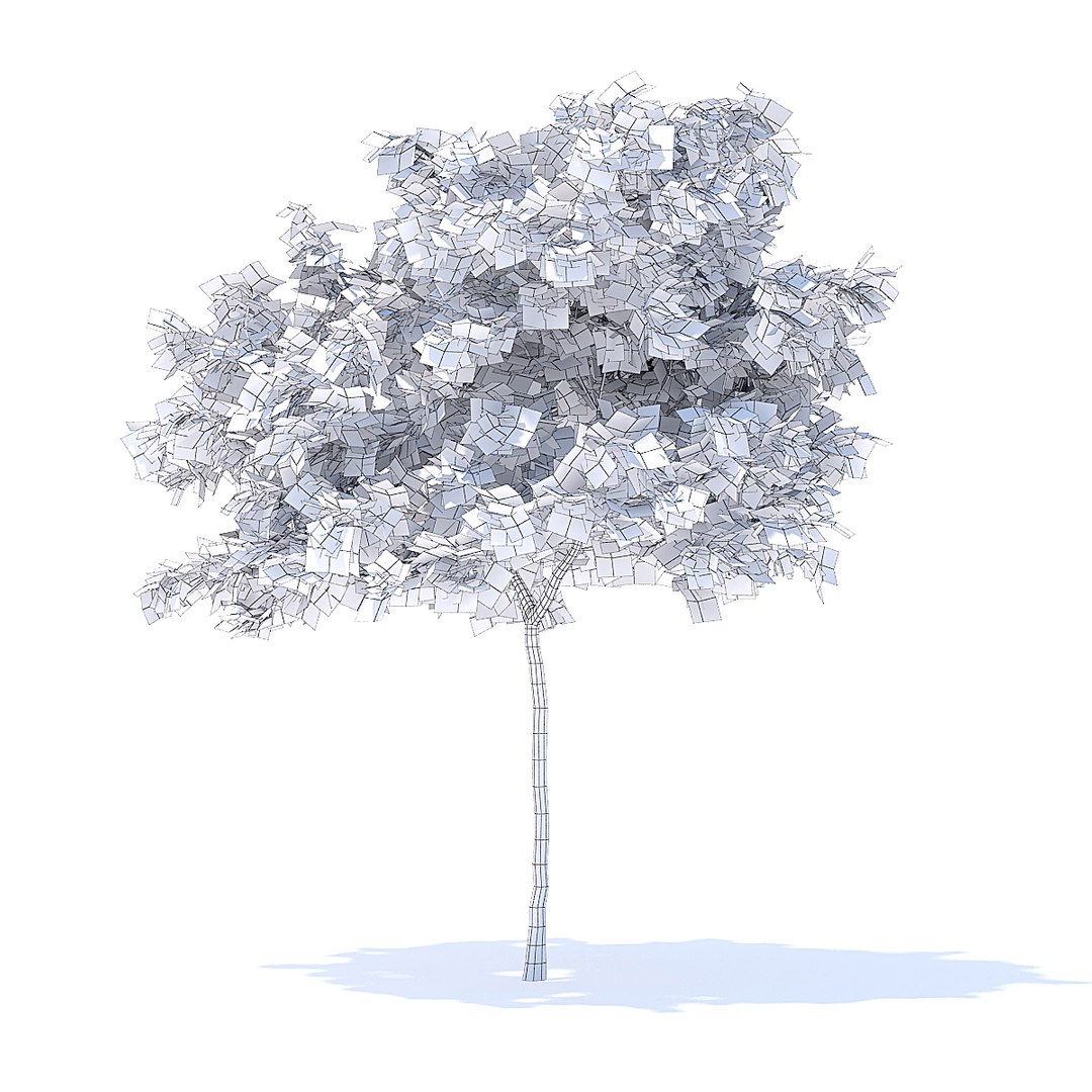 Lemon Tree 2 4m 3D Model - TurboSquid 1253244
