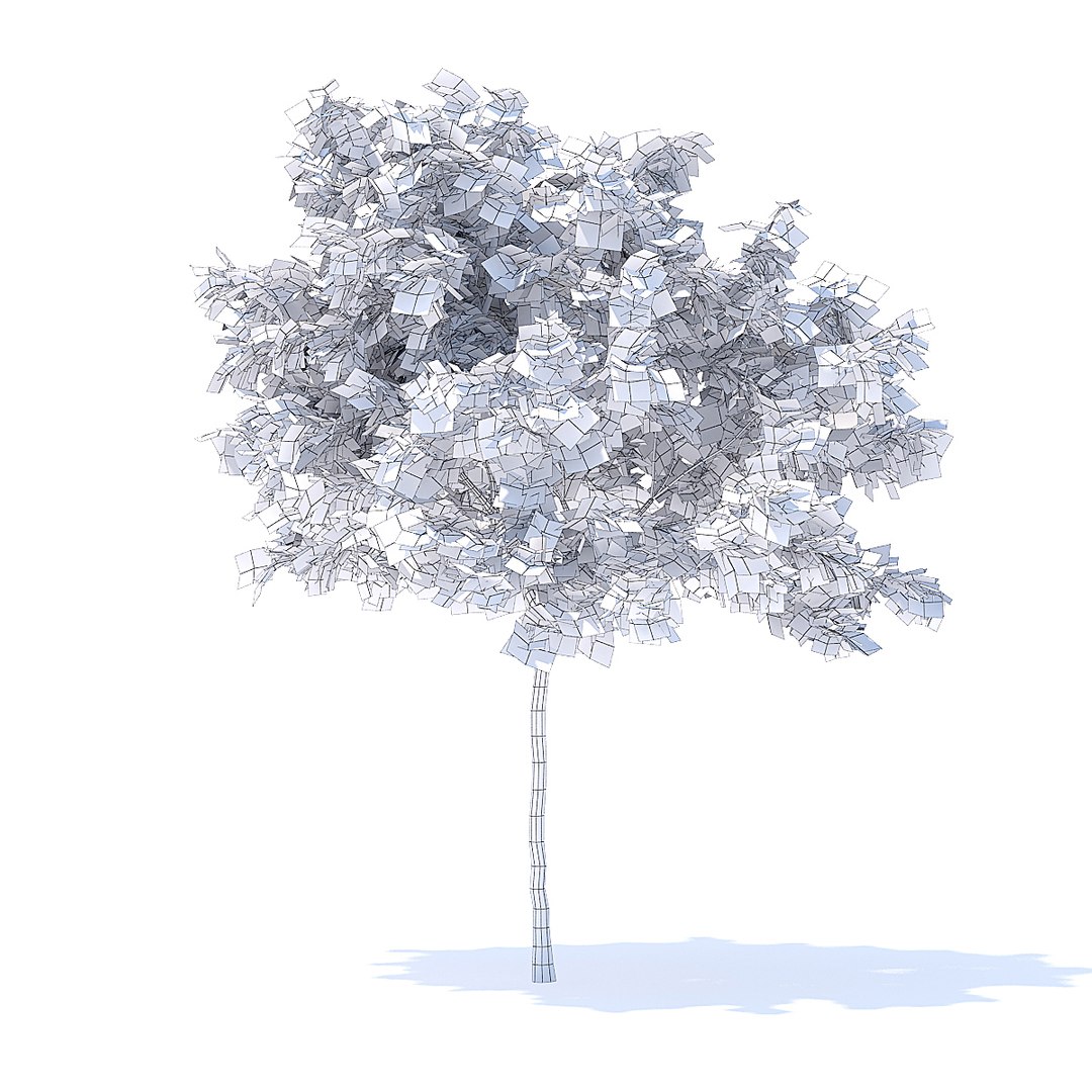 Lemon Tree 2 4m 3D Model - TurboSquid 1253244
