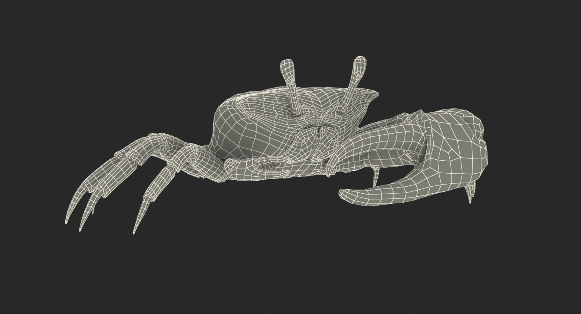 Fiddler Crab Fur 3d Model
