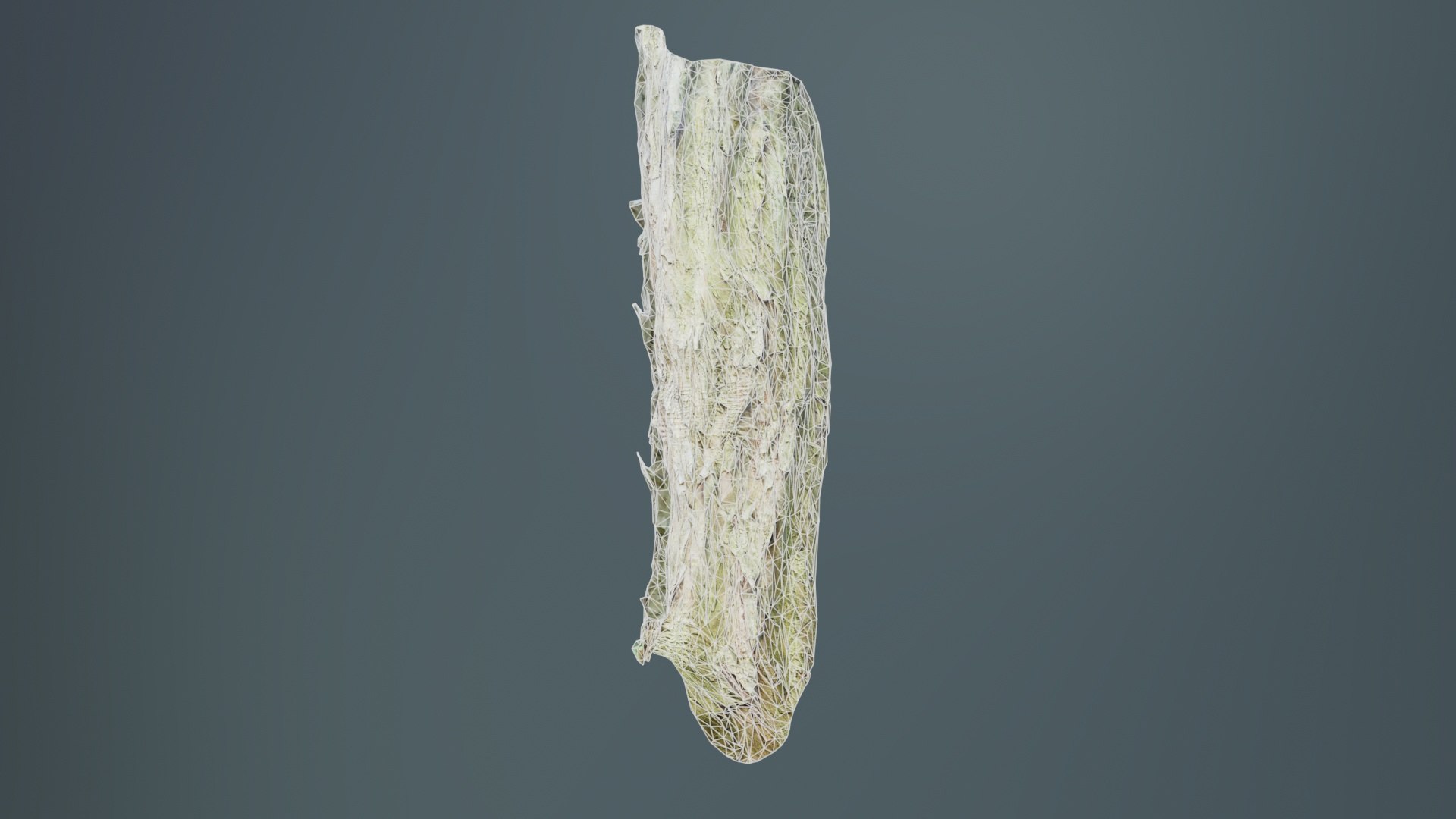 3D Model Crack Bark Remastered - TurboSquid 2362702