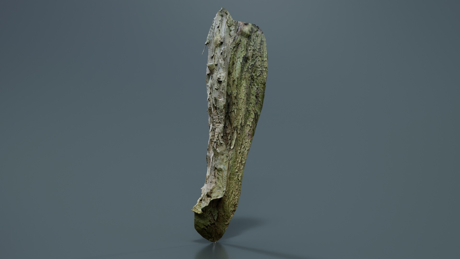 3D Model Crack Bark Remastered - TurboSquid 2362702