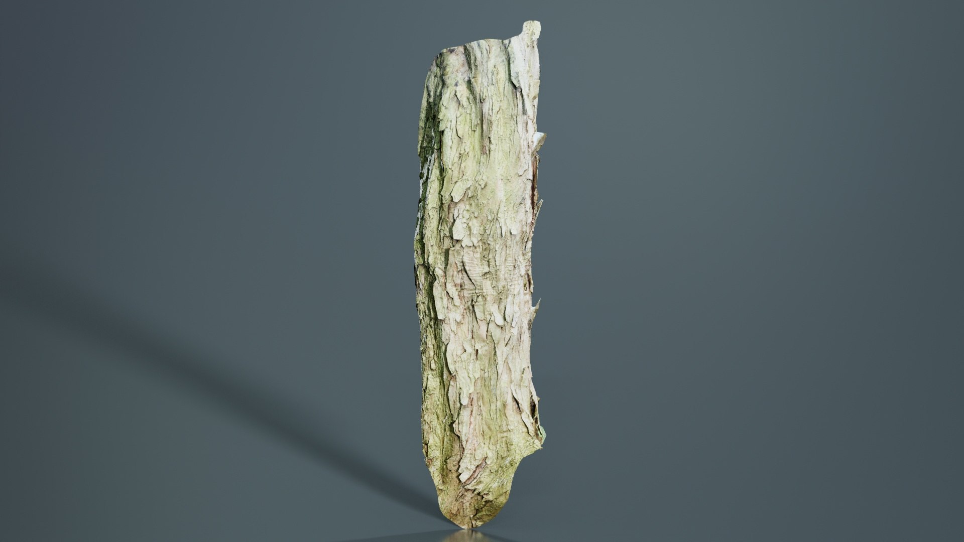 3D Model Crack Bark Remastered - TurboSquid 2362702