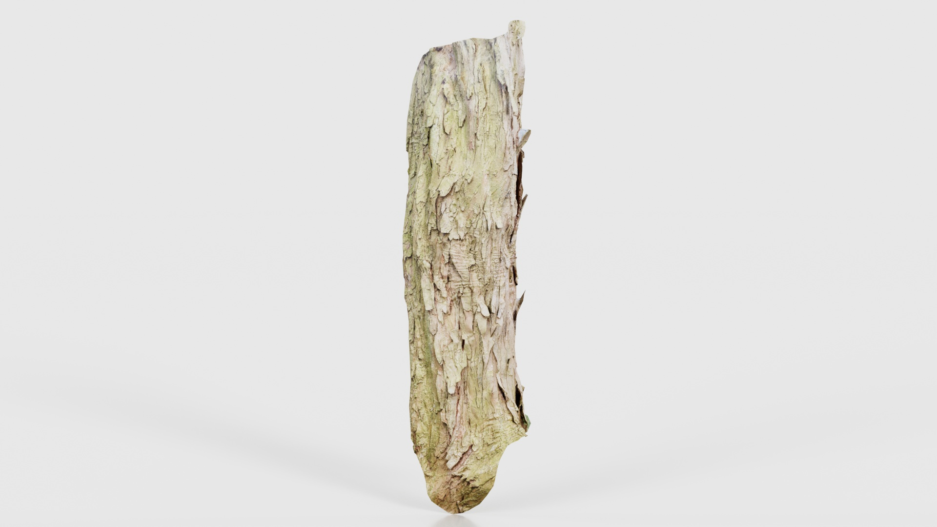 3D Model Crack Bark Remastered - TurboSquid 2362702