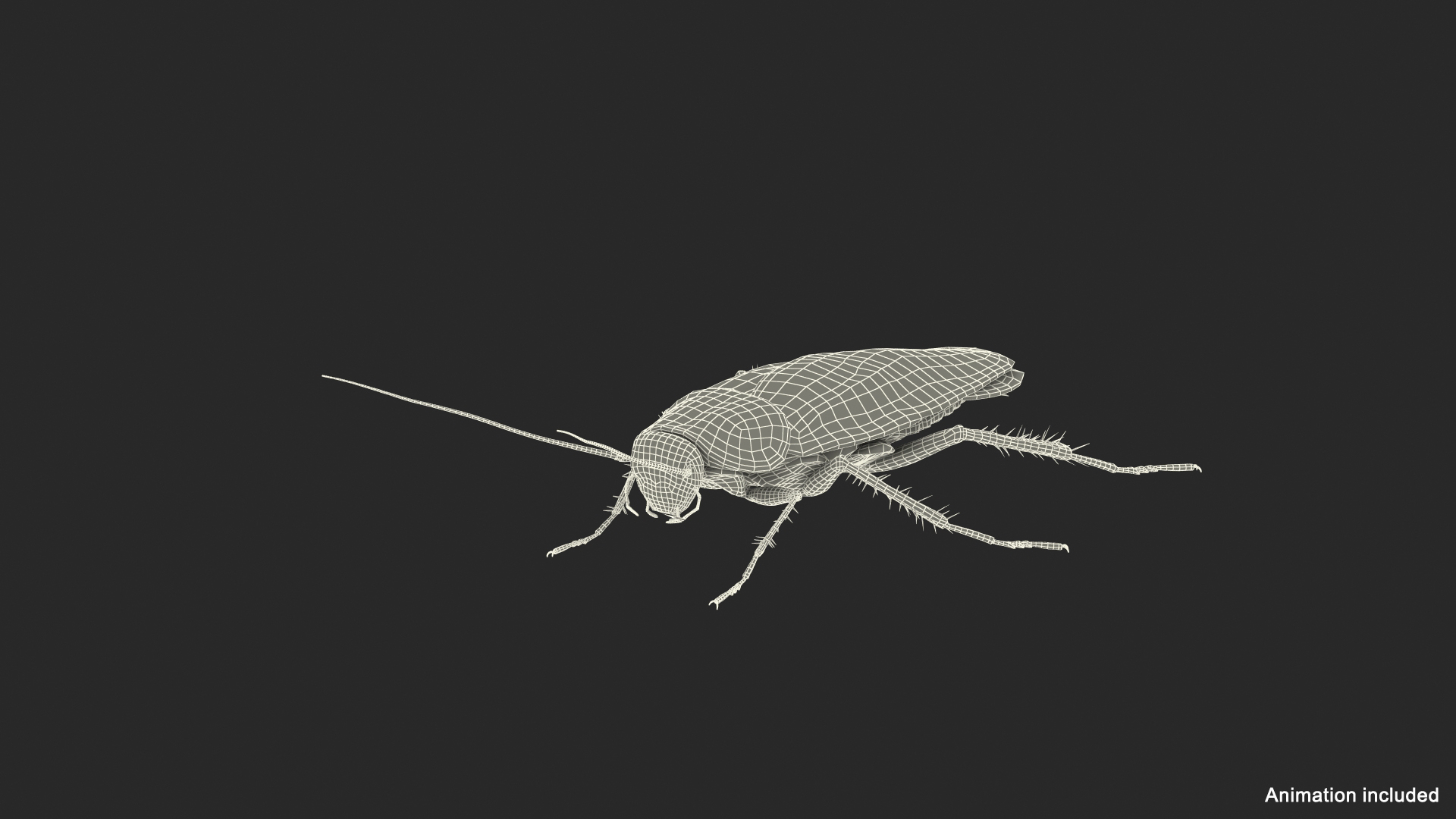 3D Animated Cockroach Cleans Mustache Rigged For Cinema 4D - TurboSquid ...
