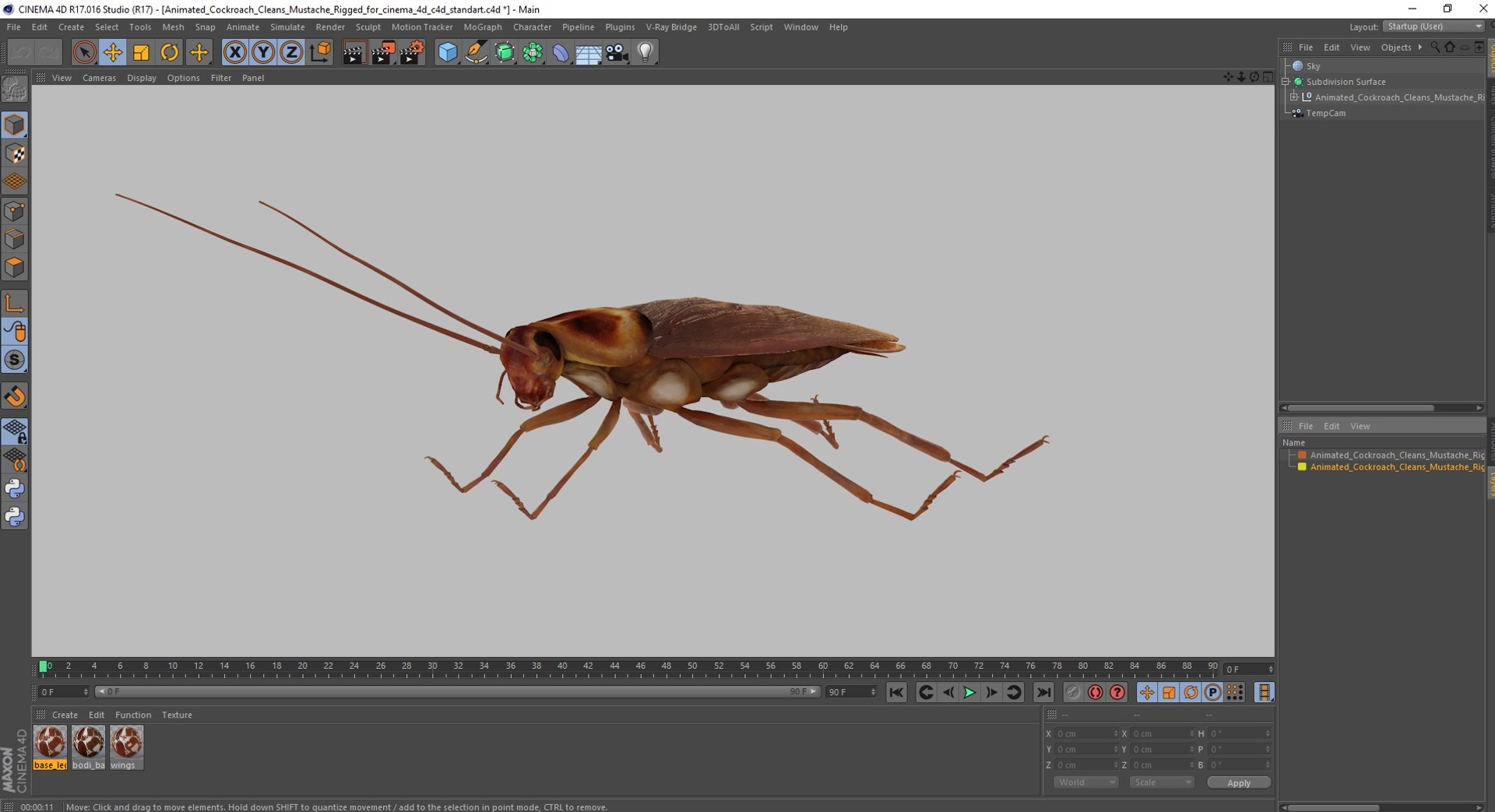 3D Animated Cockroach Cleans Mustache Rigged For Cinema 4D - TurboSquid ...