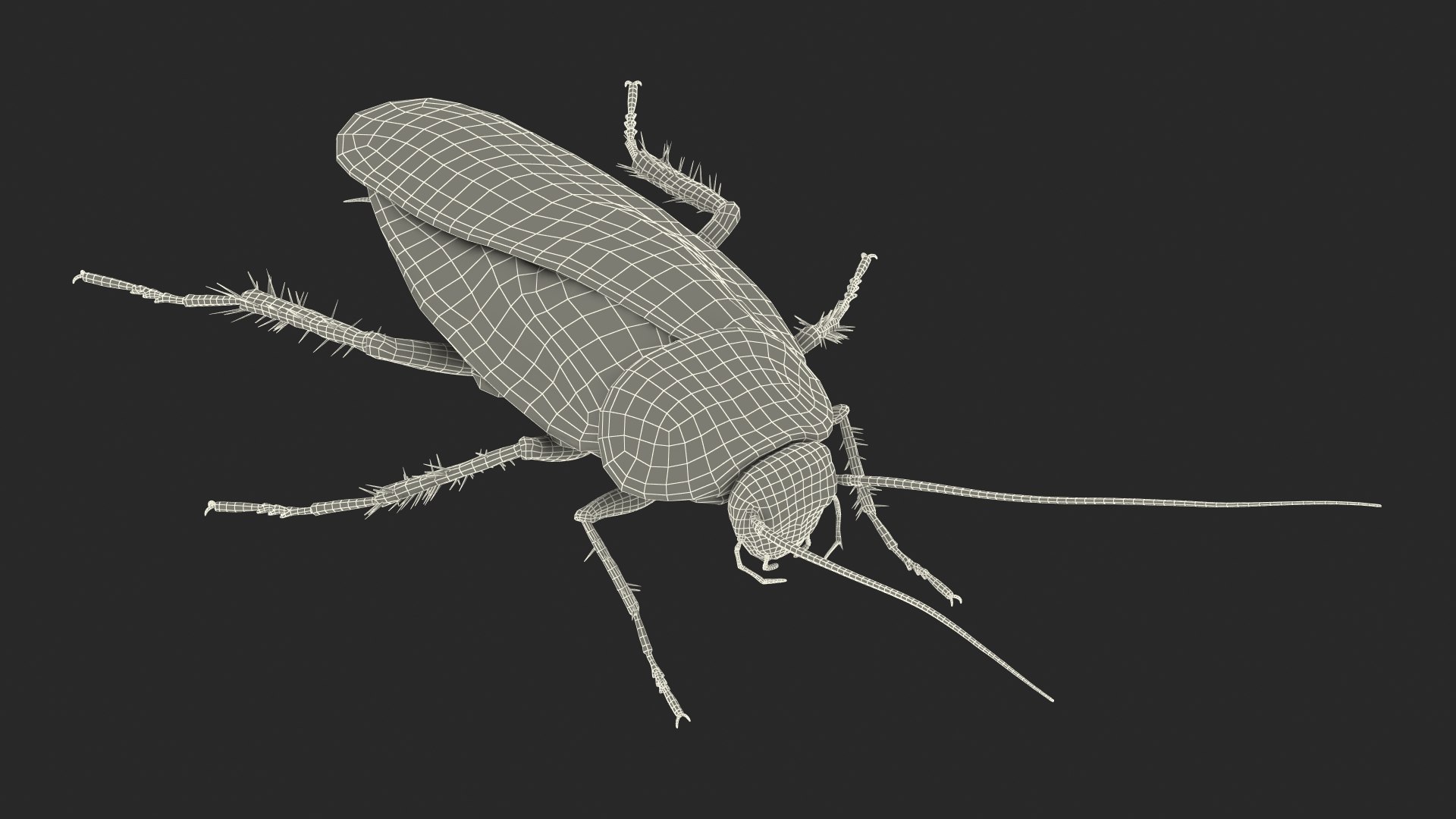 3D Animated Cockroach Cleans Mustache Rigged For Cinema 4D - TurboSquid ...