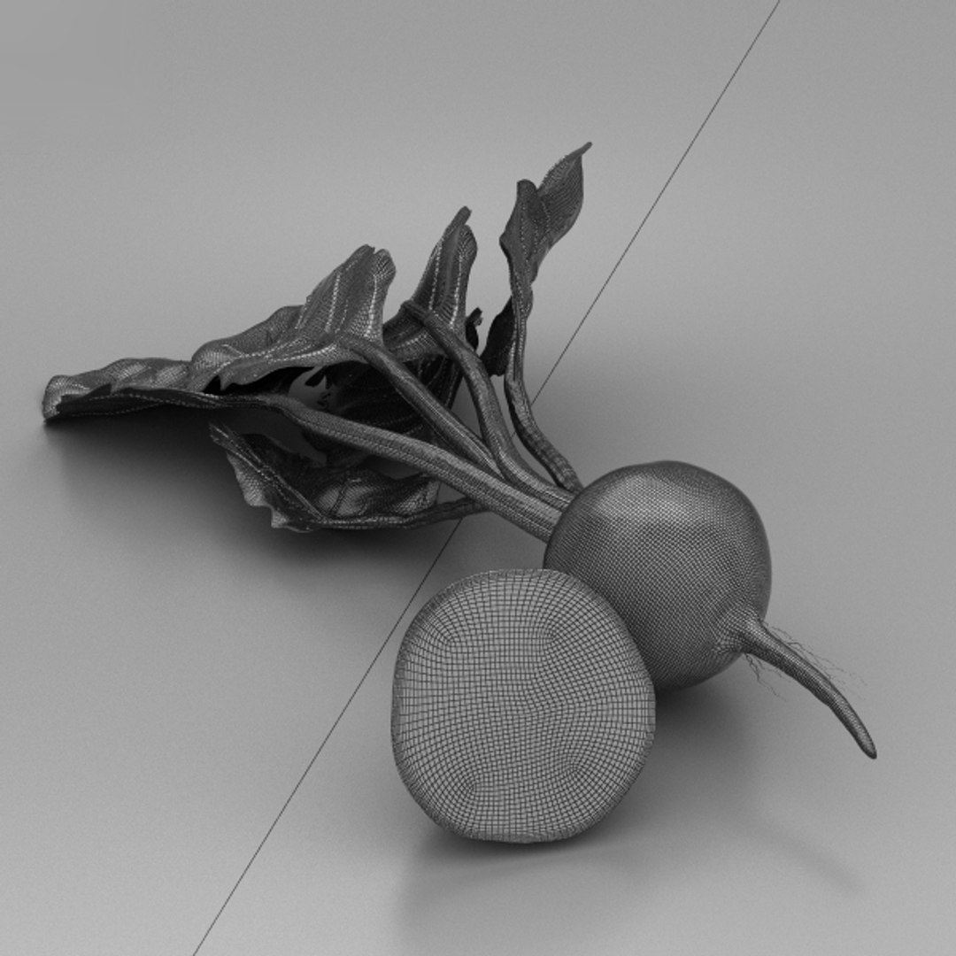 Beetroot beet root model - TurboSquid 1304579