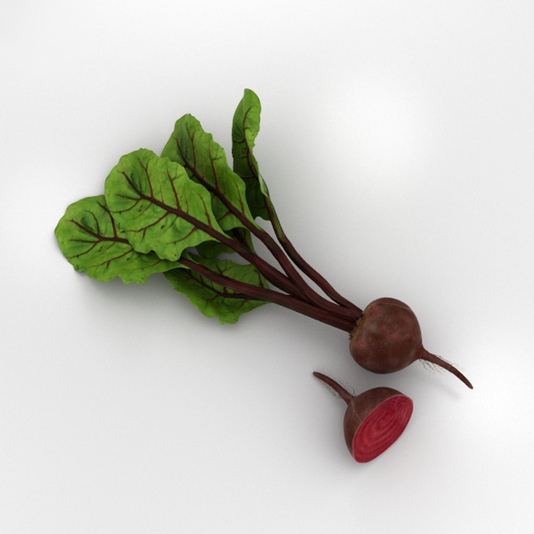 Beetroot beet root model - TurboSquid 1304579