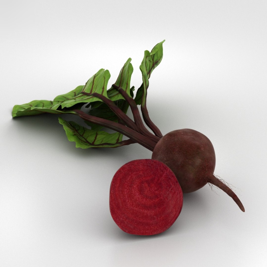 Beetroot beet root model - TurboSquid 1304579
