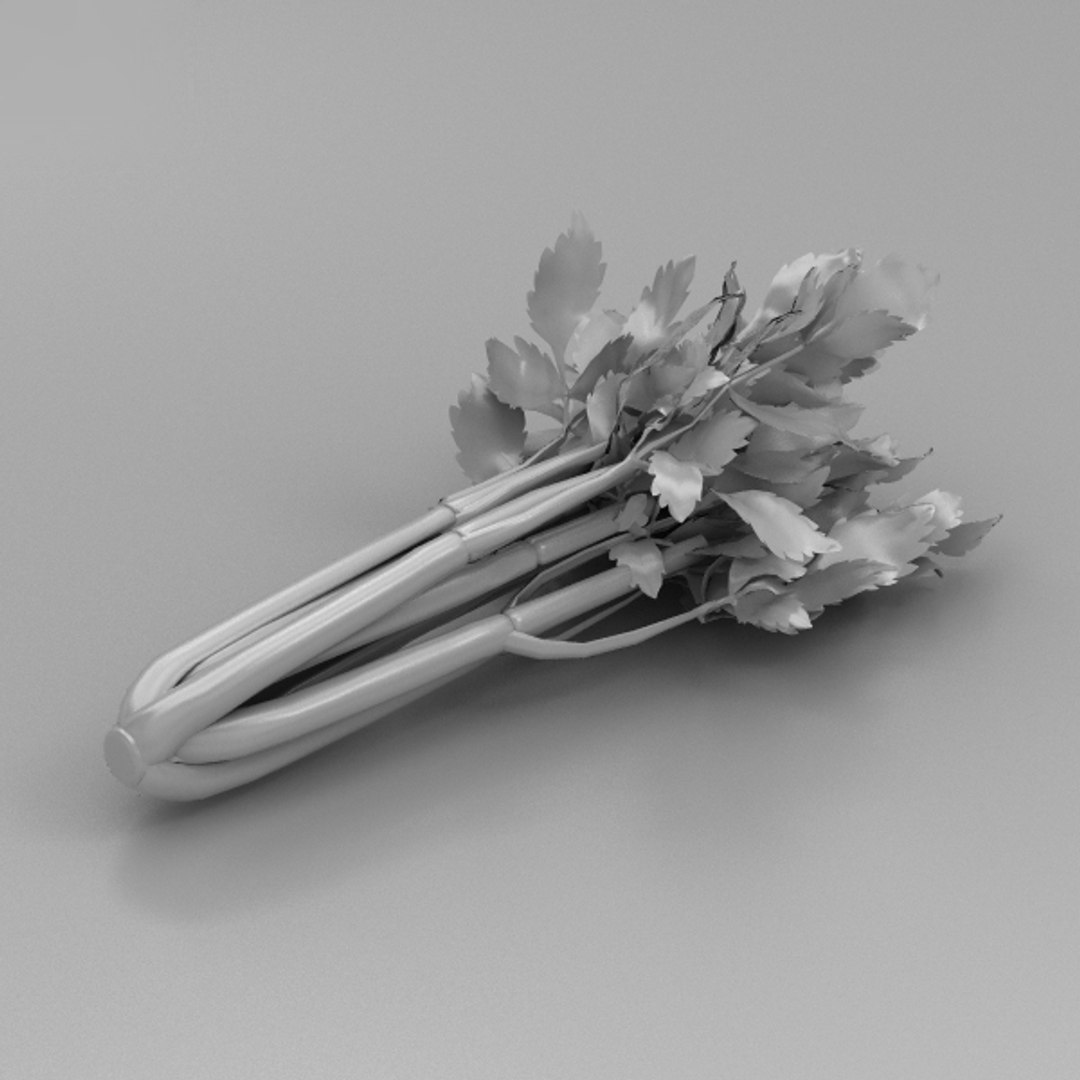 3D celery - TurboSquid 1388960