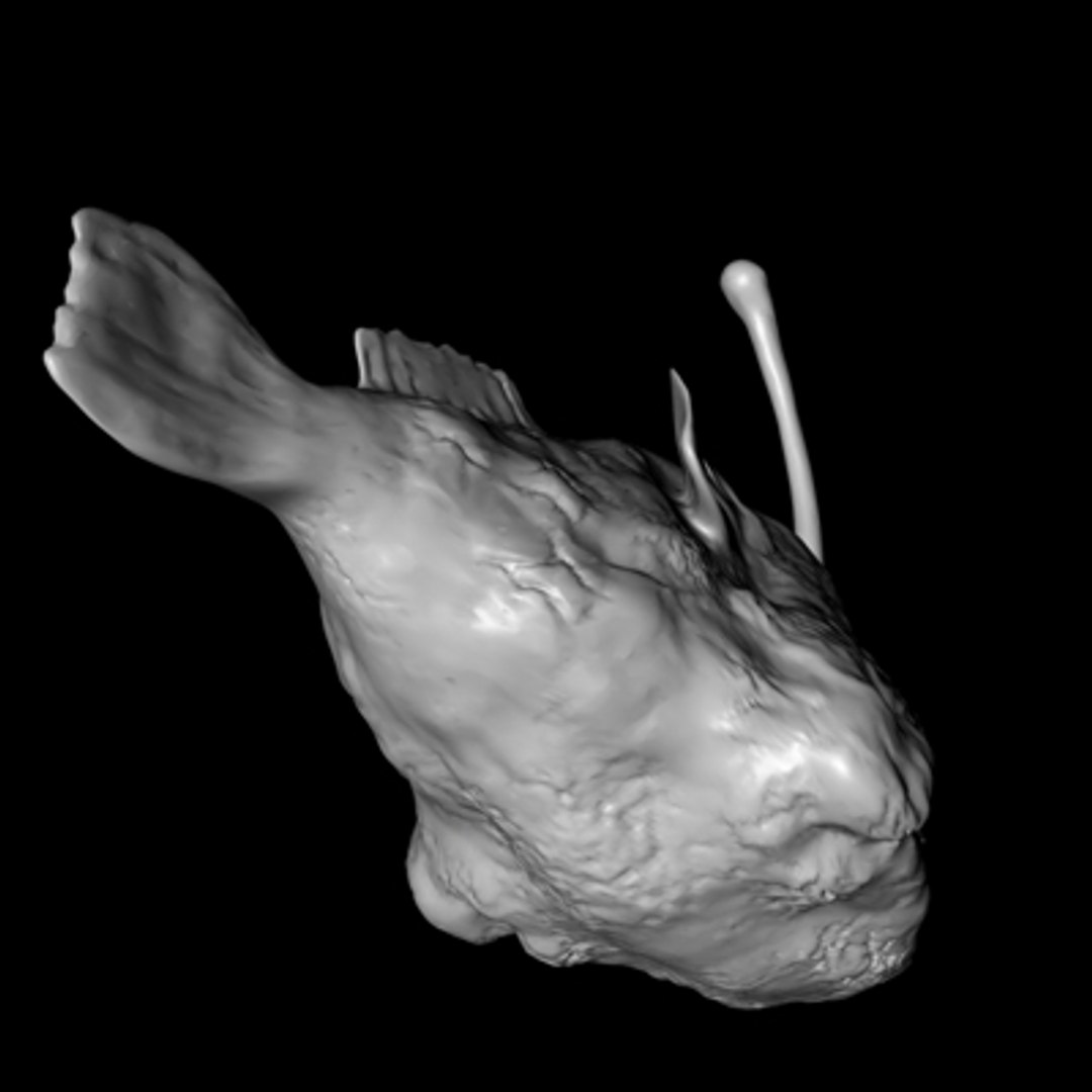 3D Model Angler Fish - TurboSquid 344087