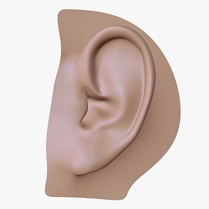 Ear STL Models for Download | TurboSquid
