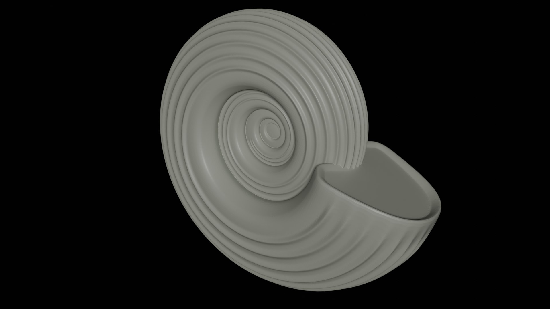 Ammonoid Shell With Spiral Lines 3D Model - TurboSquid 2293678