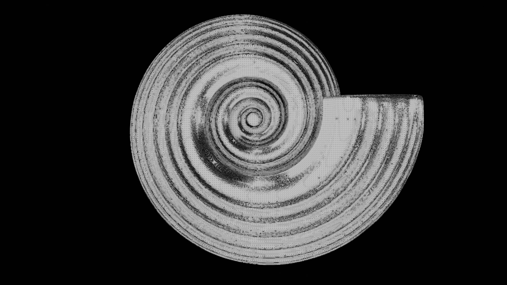 Ammonoid Shell With Spiral Lines 3D Model - TurboSquid 2293678
