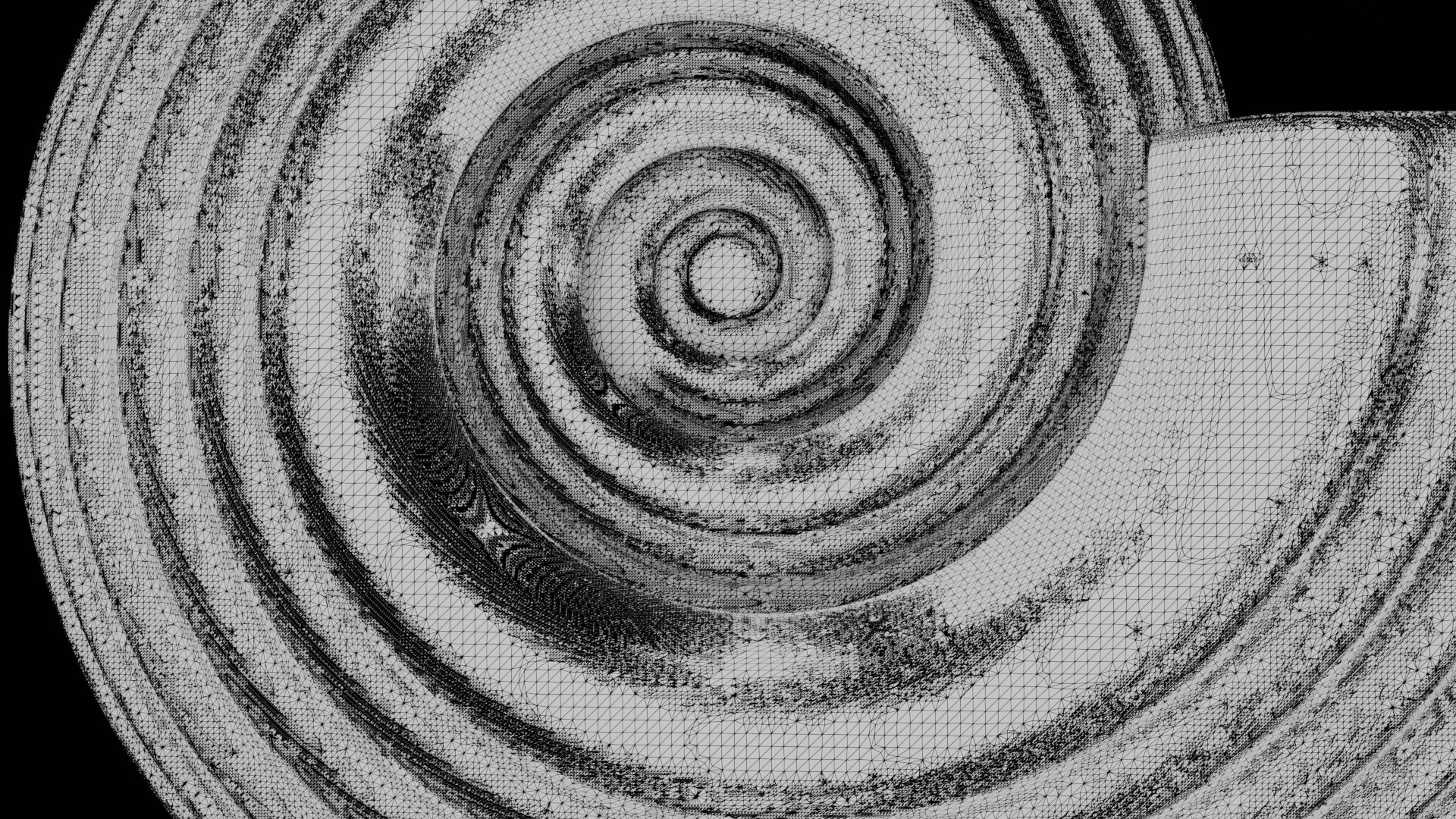 Ammonoid Shell With Spiral Lines 3D Model - TurboSquid 2293678