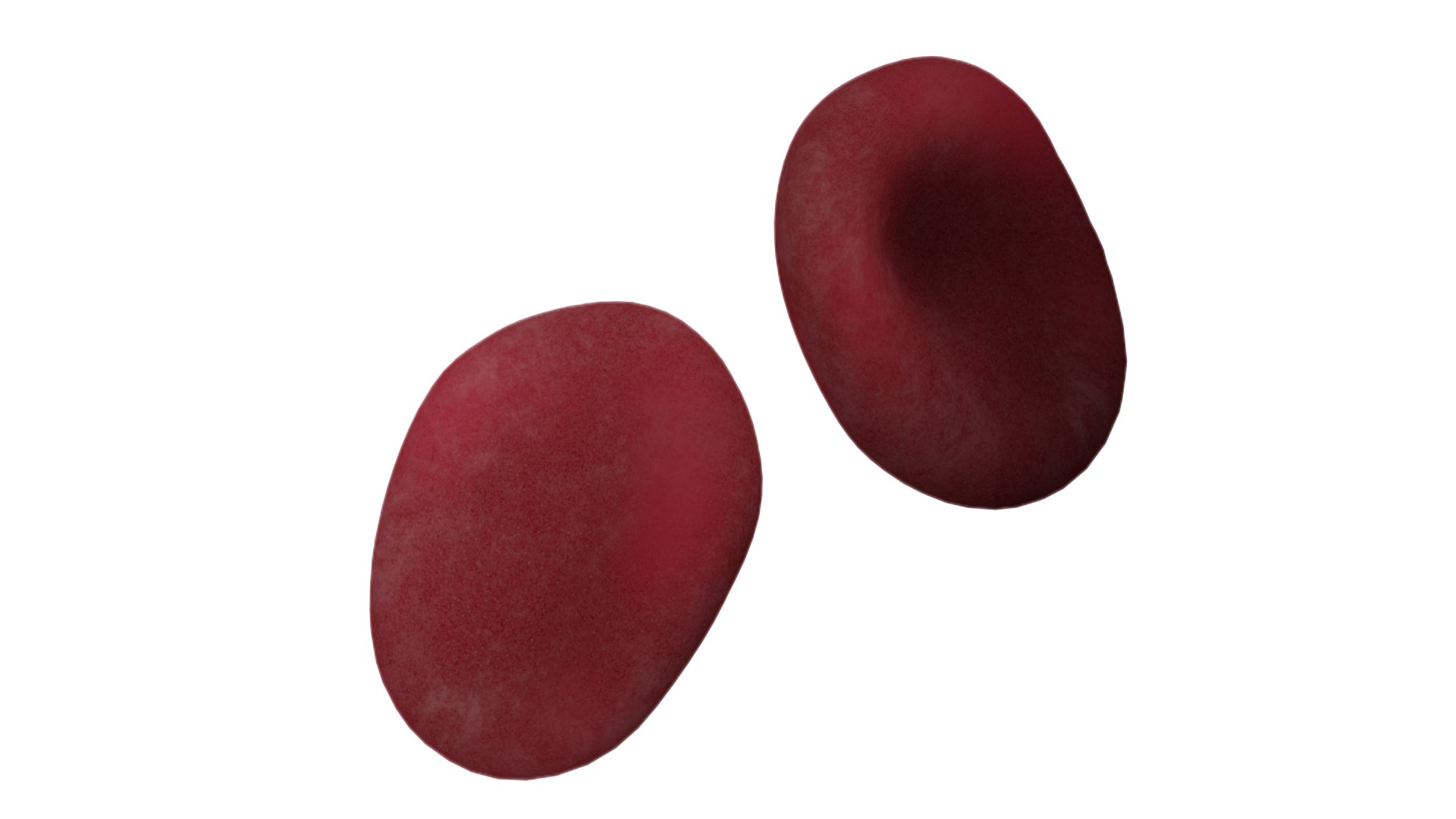 3D Red Blood Cells Erythrocytes Model - TurboSquid 1545646