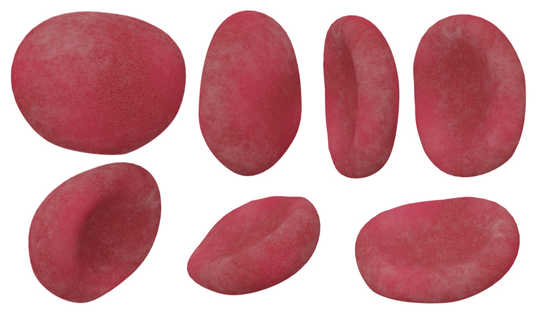 3D Red Blood Cells Erythrocytes Model - TurboSquid 1545646