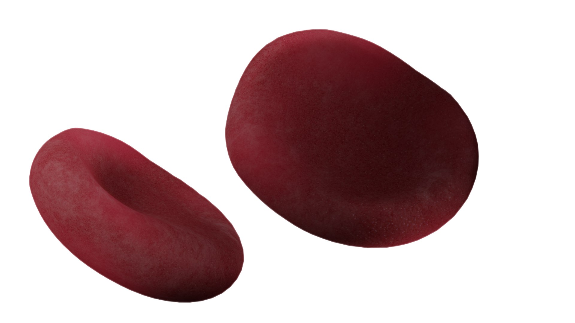 3D Red Blood Cells Erythrocytes Model - TurboSquid 1545646