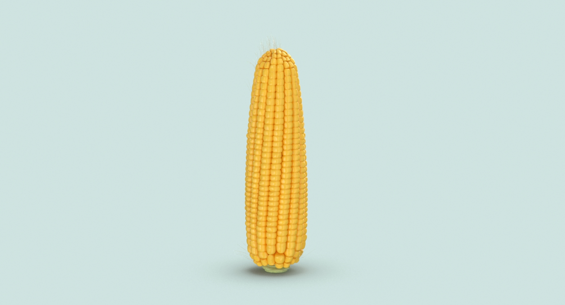 Ears-of-corn---02-cv1 3D - TurboSquid 1340262