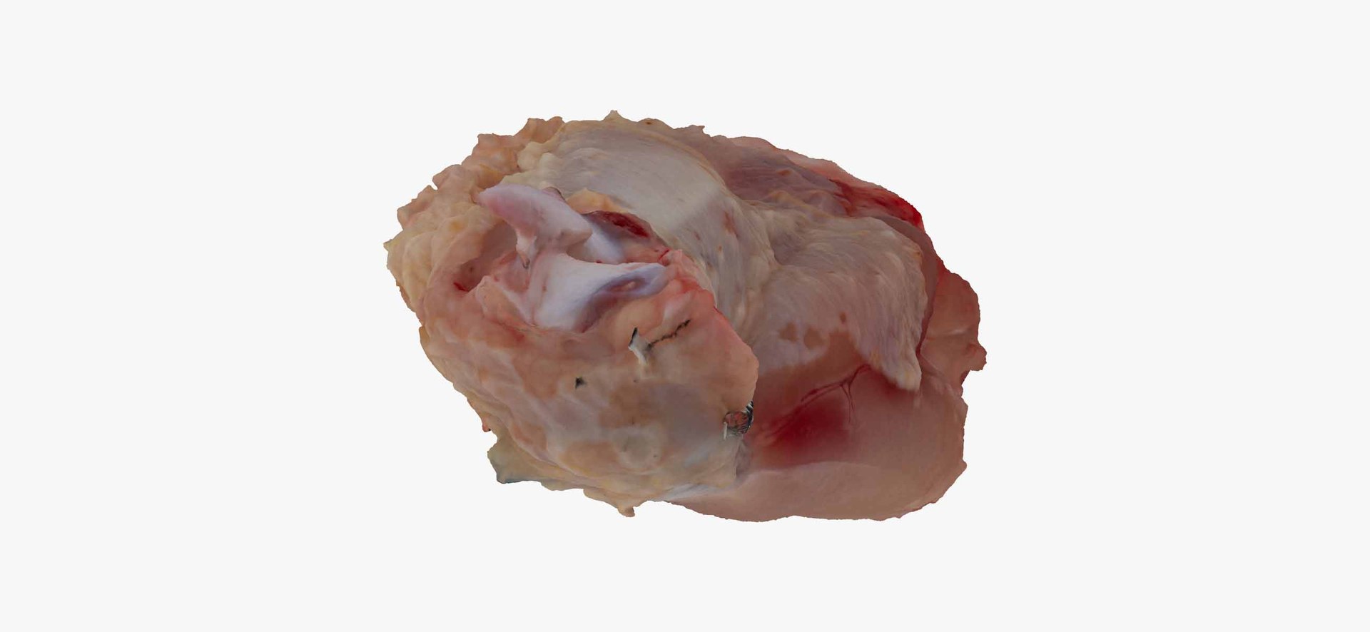 3D Chicken Wing 04 RAW Scan Model - TurboSquid 1822968