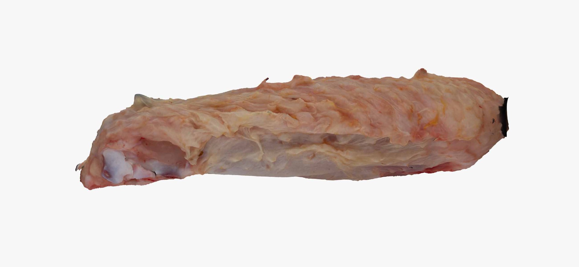 3D Chicken Wing 04 RAW Scan Model - TurboSquid 1822968