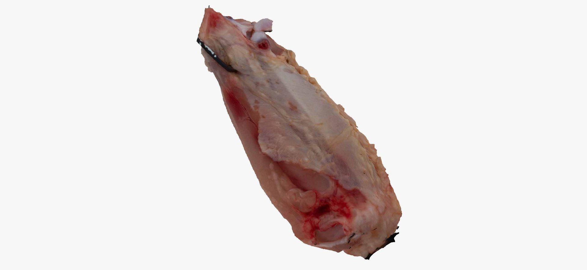 3D Chicken Wing 04 RAW Scan Model - TurboSquid 1822968
