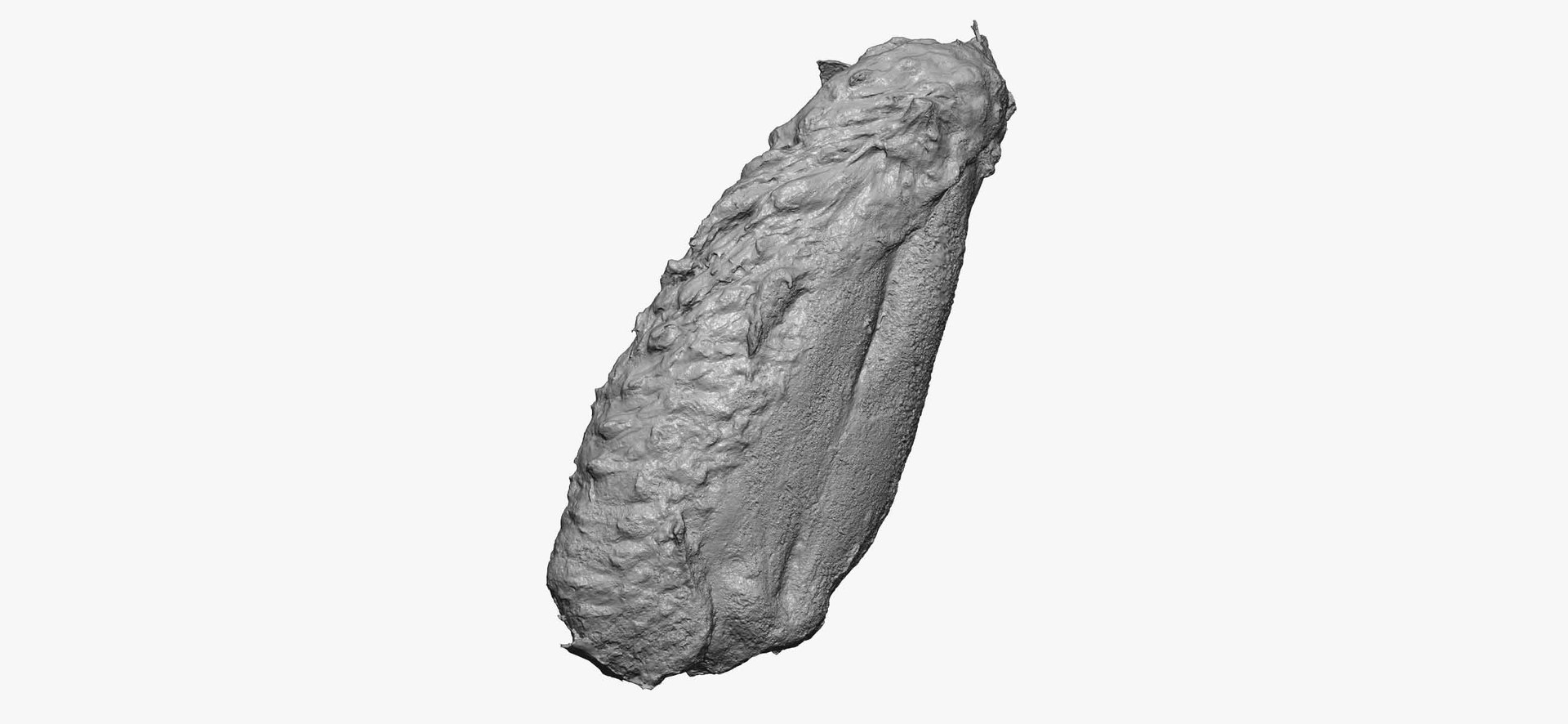 3D Chicken Wing 04 RAW Scan Model - TurboSquid 1822968