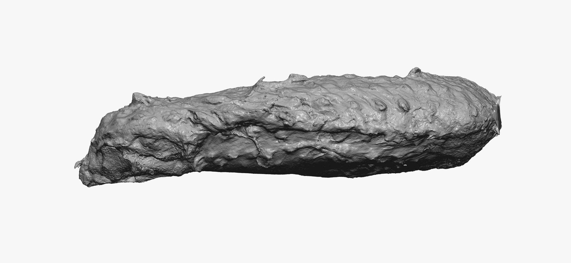 3D Chicken Wing 04 RAW Scan Model - TurboSquid 1822968