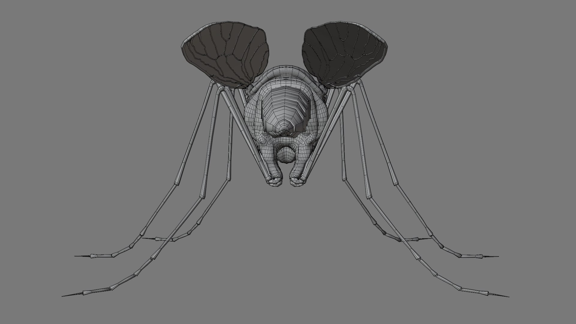 3D Mosquito Model - TurboSquid 2415387