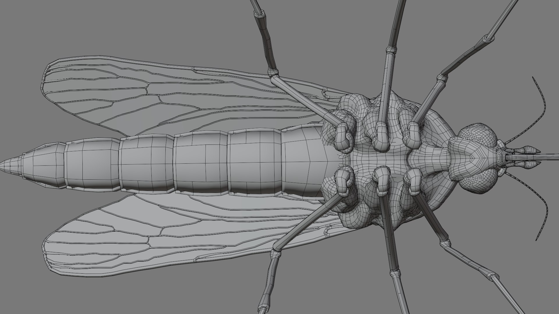 3D Mosquito Model - TurboSquid 2415387