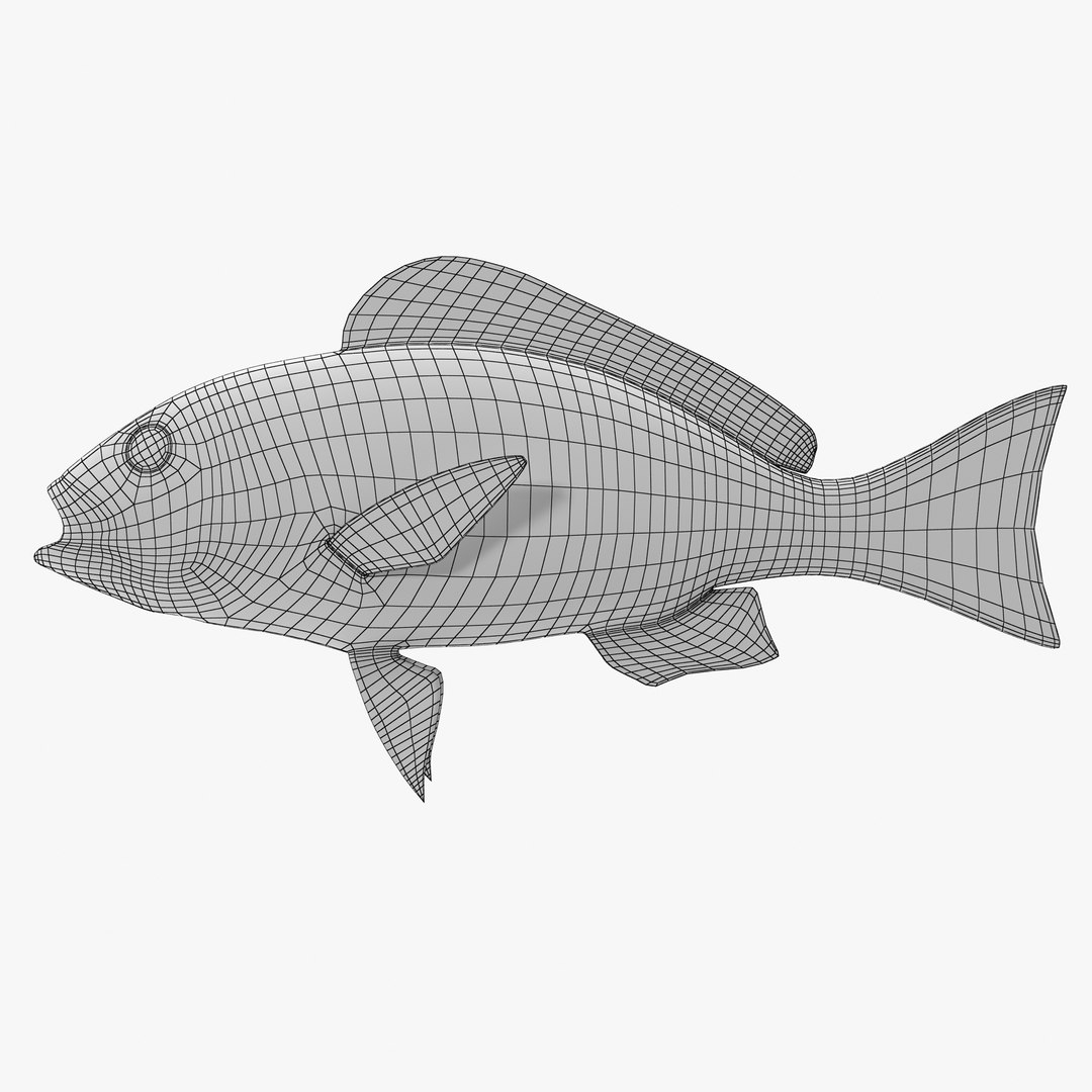 Pacific Red Snapper 3d Dxf